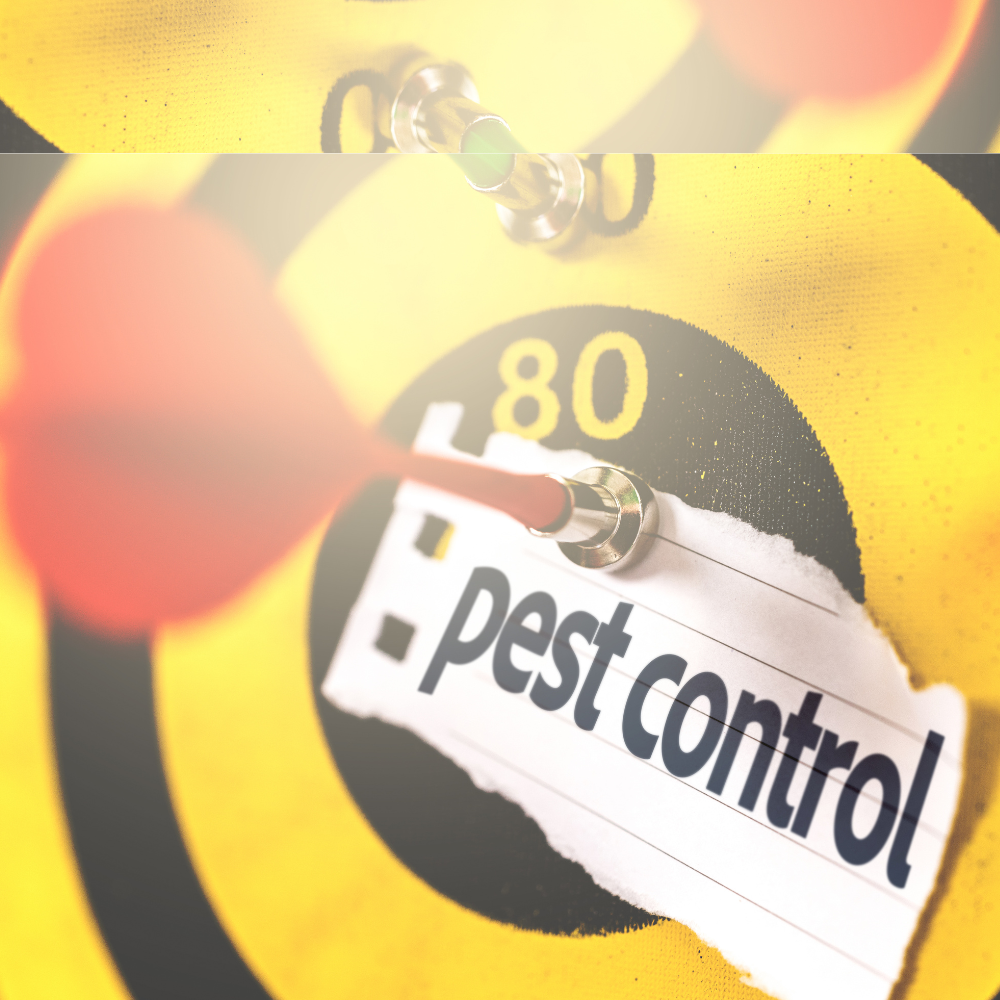 Pest Control – BazaFinds Gift Shop